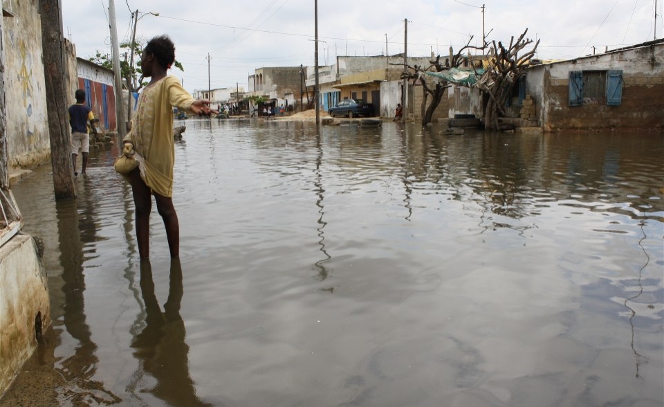 Senegal: Unprecedented Floods Devastate Harvests in Northeastern ...