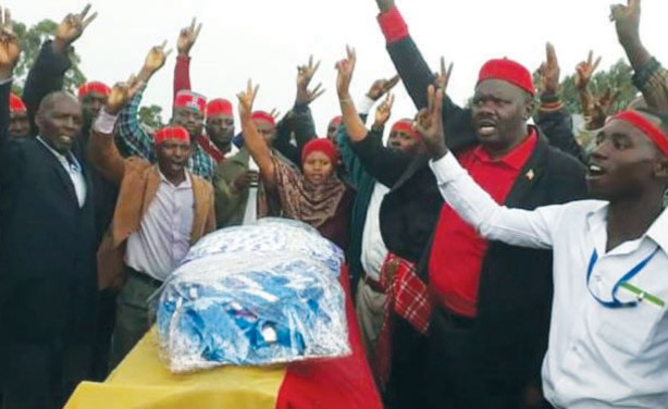 Ugandan Ruling Party Not Sure if it Can Win Age Limit Vote - allAfrica.com