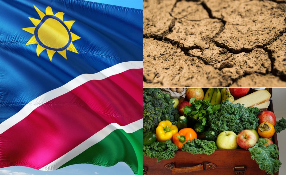 Namibia: Food Shortages to Hit Some Households - allAfrica.com