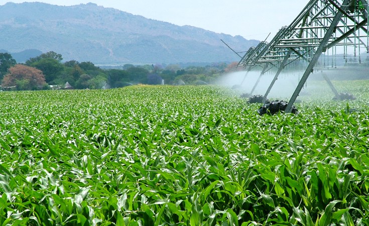 South Africa: Farming in South Africa Is Under Threat From Climate ...