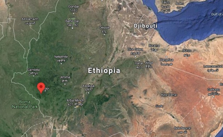 Ethiopia: News - Security Forces Killed, Thousands Displaced in Fresh ...