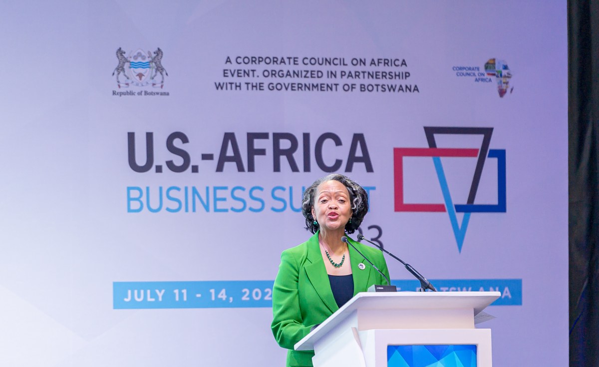 #USAfricaBizSummit Spotlight on Optimizing Africa's Value Chains ...