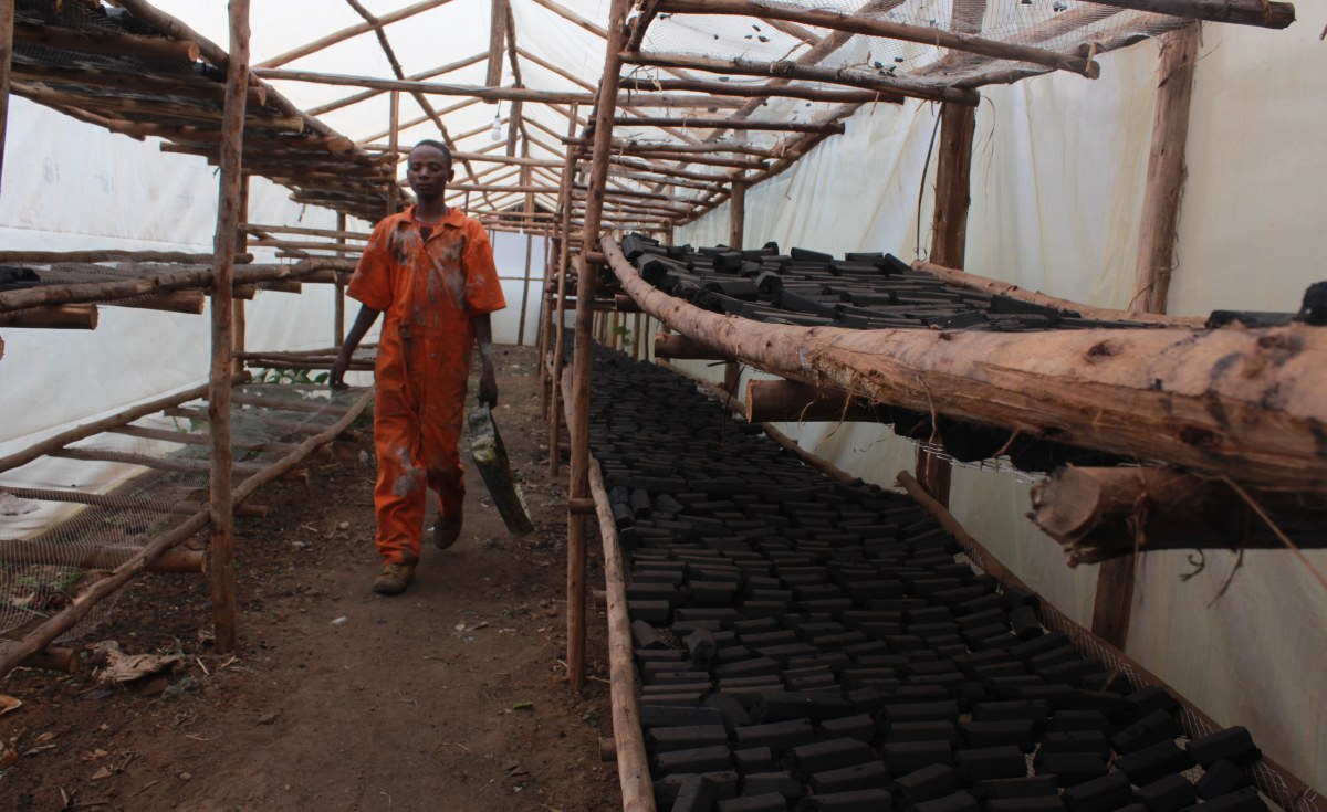 Uganda: Entrepreneur Turns Waste into Opportunity, One 'Briquette' at a ...